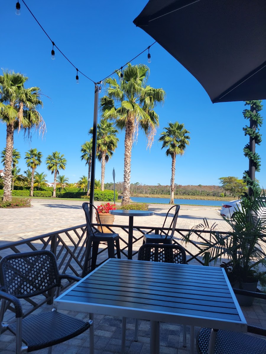 Mott Street Eatery | Delicious Dim Sum & More in New York Food Court